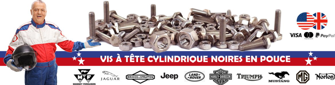 Vis à tête cylindrique empreinte 6 pans creux (THC) en acier noircie et ...